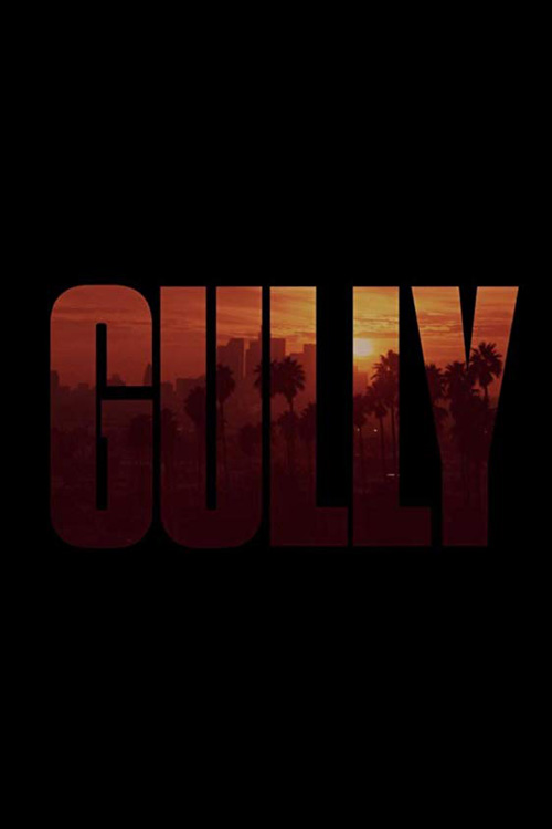 Gully (2019) | DREAM13Media